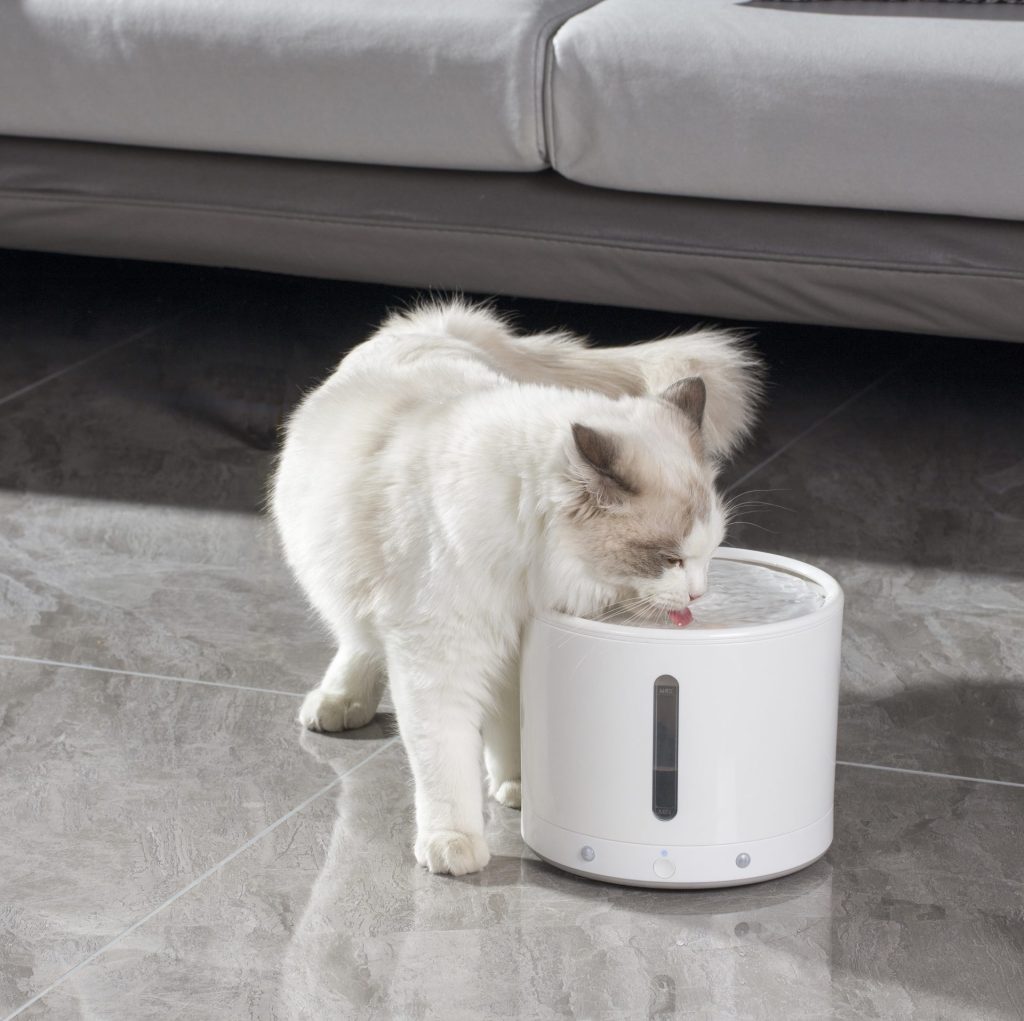 Pet Hydration - Natural Balance Pet Food Natural Balance Pet Food